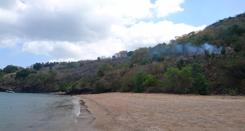 Les cultures sur brûlis rongent la pointe Handrema - Mayotte Hebdo